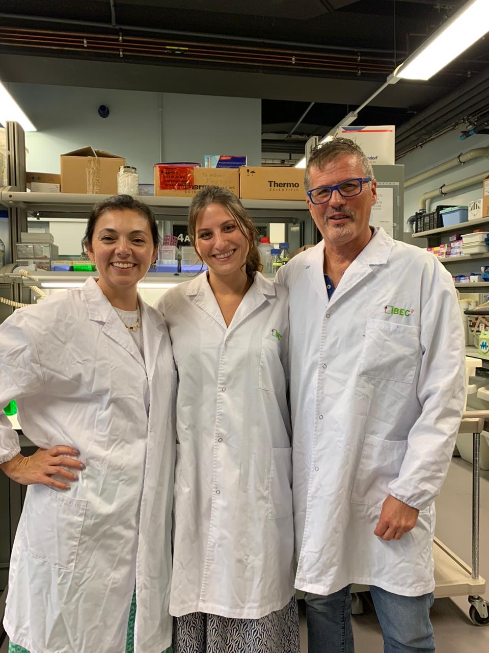 Journal of Nanobiotechnology elige artículo de Sujey Palma, egresada de Química y Farmacia, y ...